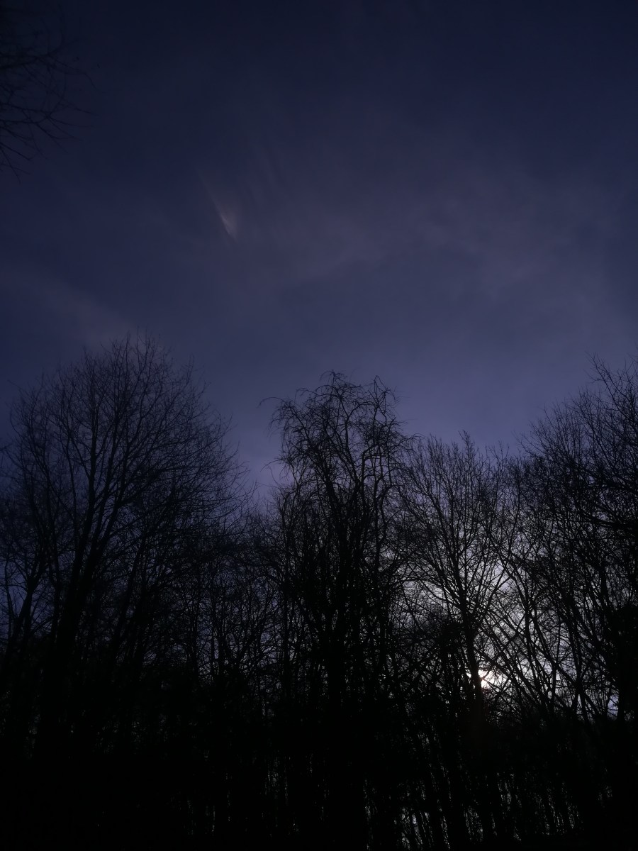 Cut, thrust and parry – time for some fencing – Tim Burr